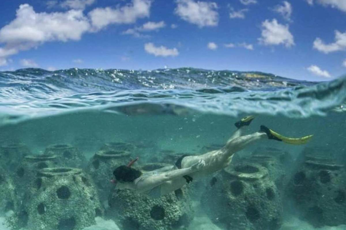 Paradise Cove: Snorkeling Deadman’s Reef on Grand Bahama - The Bahamas ...